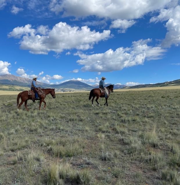 Bar D Ranch Owners Association